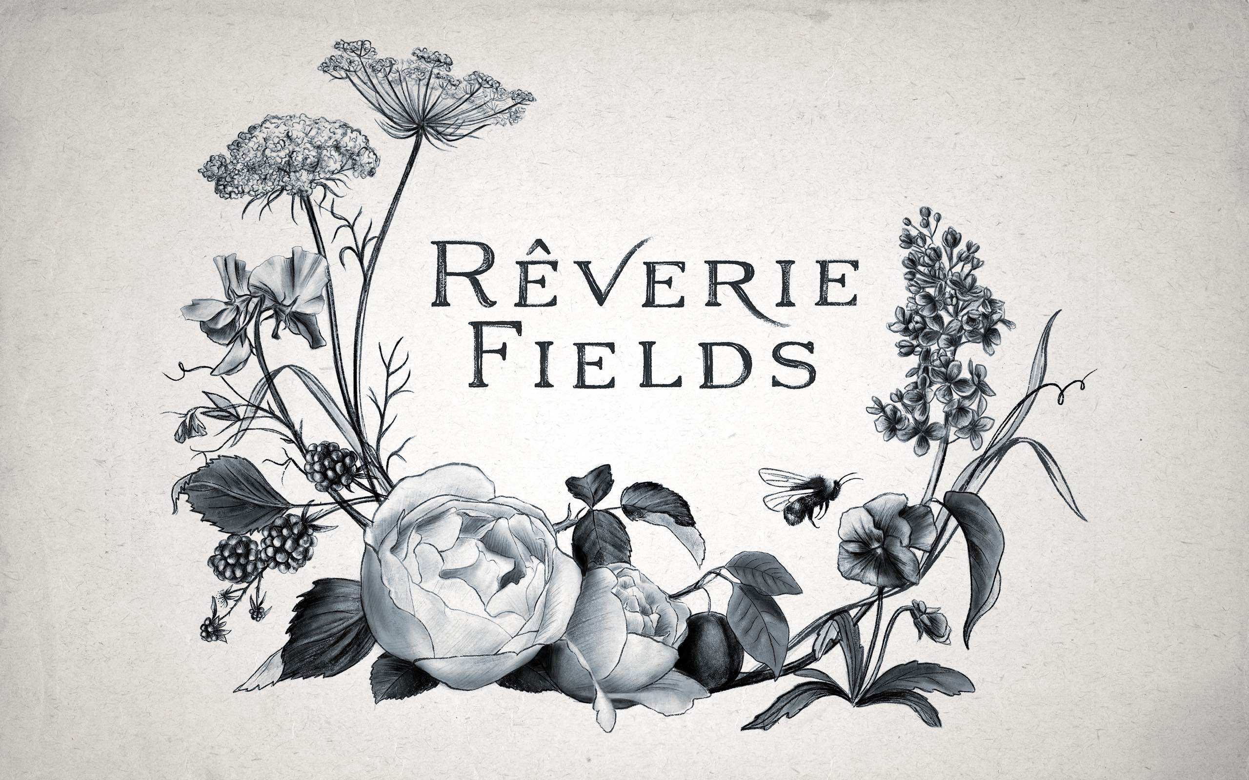 Reverie Fields Brand Identity | Anthem